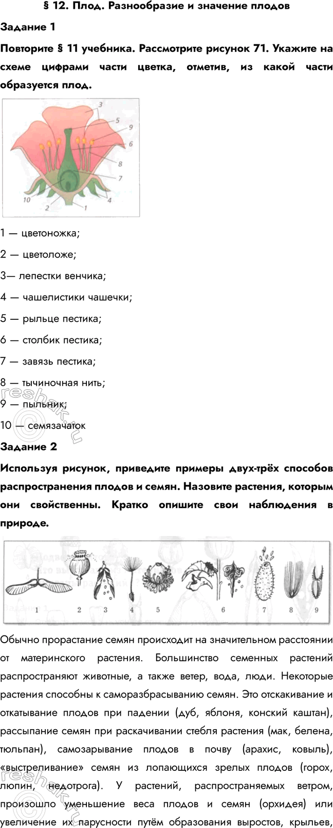 Решено Параграф 12 ГДЗ Рабочая тетрадь Пономарева 6 класс по биологии